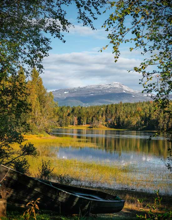 Transmax Group – Total road freight solutions